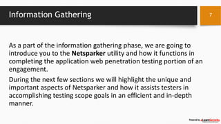 Web Application Penetration Tests - Information Gathering Stage | PDF