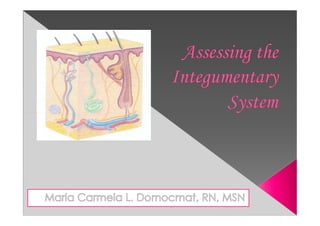 2 integumentary system | PPT