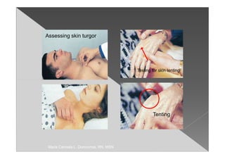 2 integumentary system | PDF