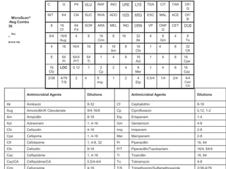 2 Interpretación informe microbiologico.ppt