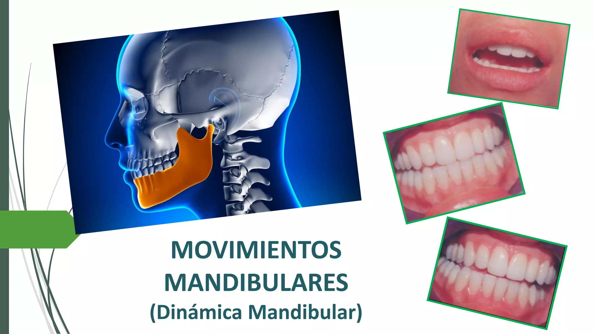 2 INTERSEDES - ATM, MUSCULOS Y DINÁMICA MANDIBULAR - 22122022.pdf