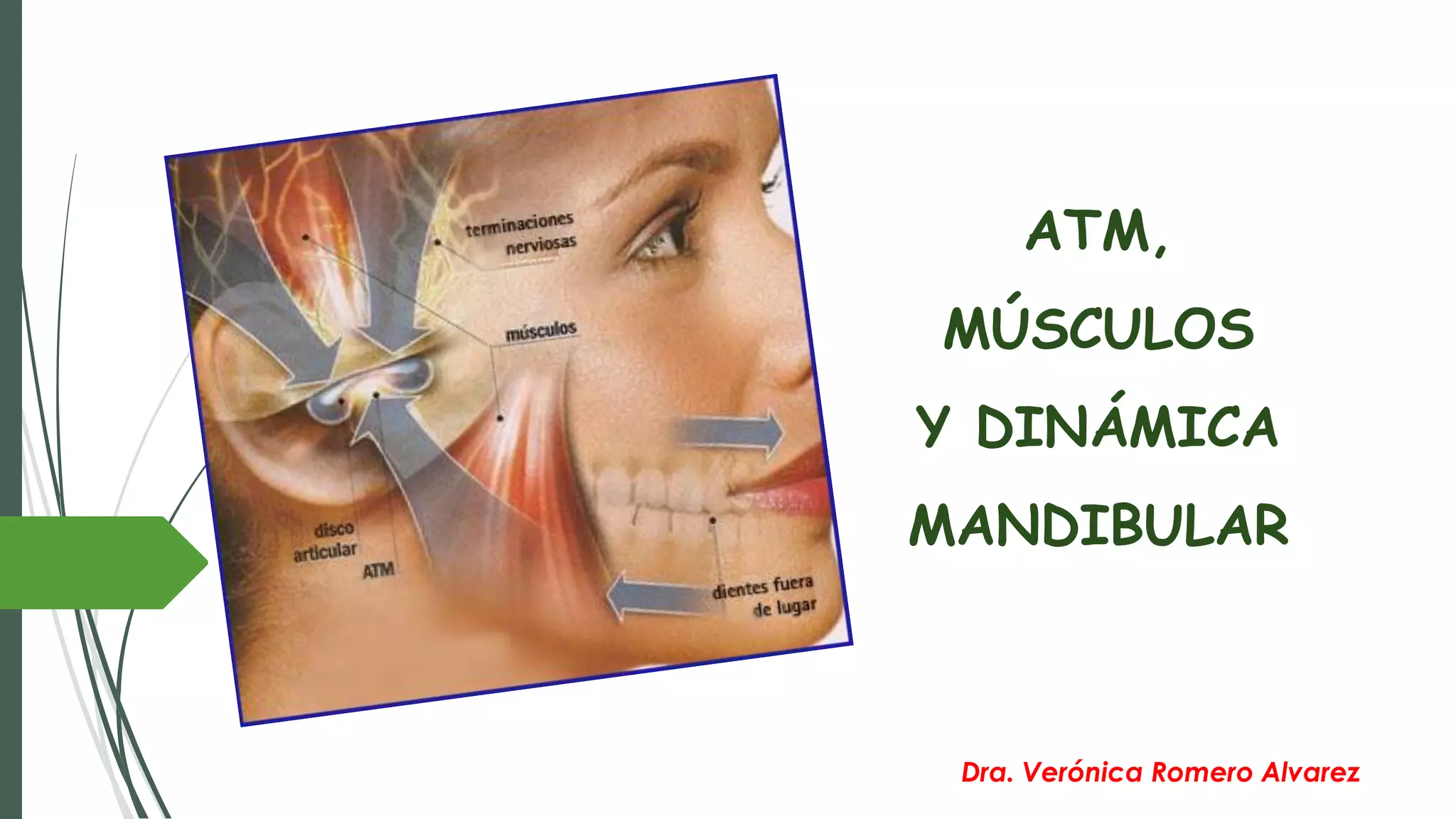 2 INTERSEDES - ATM, MUSCULOS Y DINÁMICA MANDIBULAR - 22122022.pdf