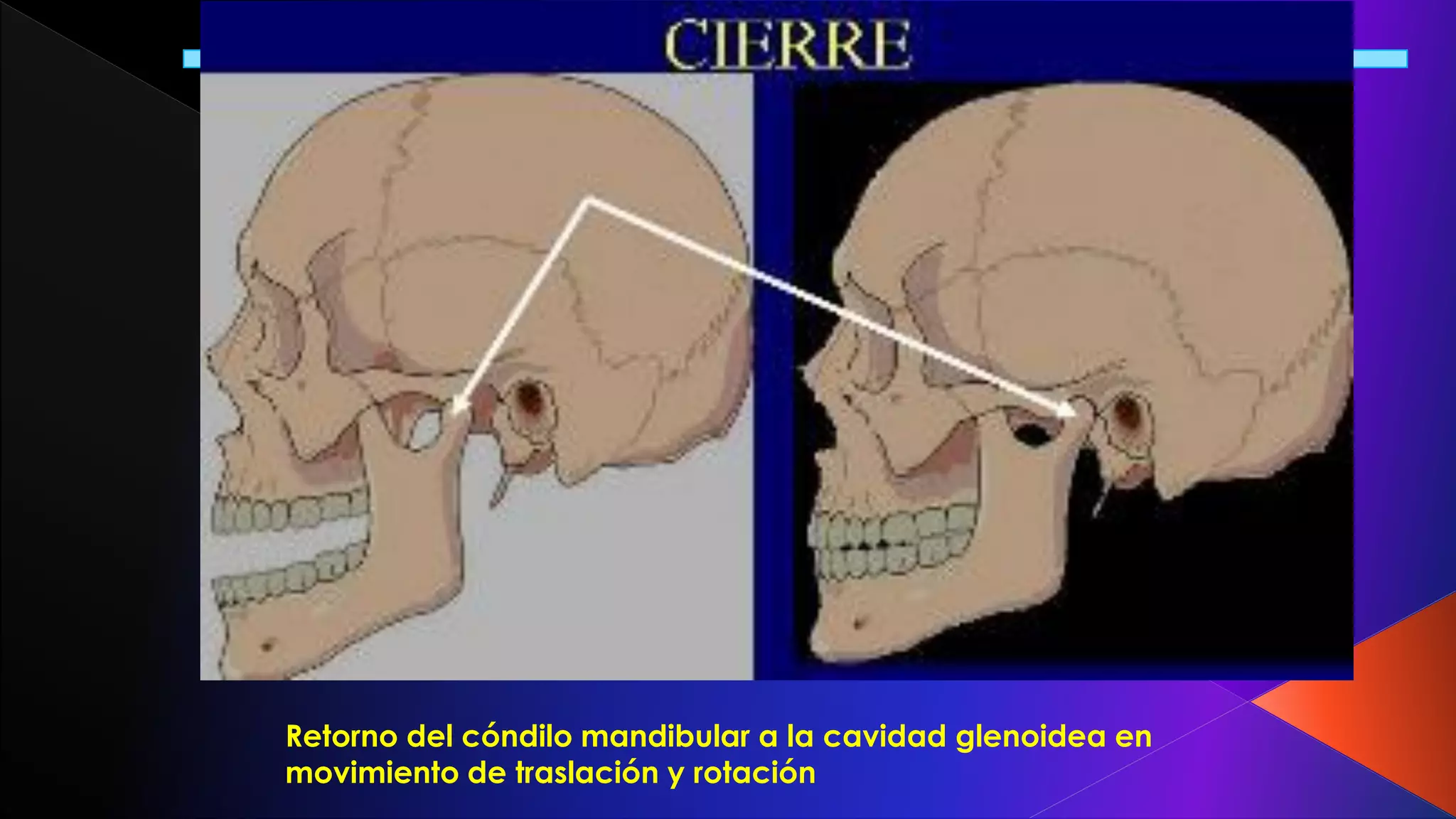 2 INTERSEDES - ATM, MUSCULOS Y DINÁMICA MANDIBULAR - 22122022.pdf