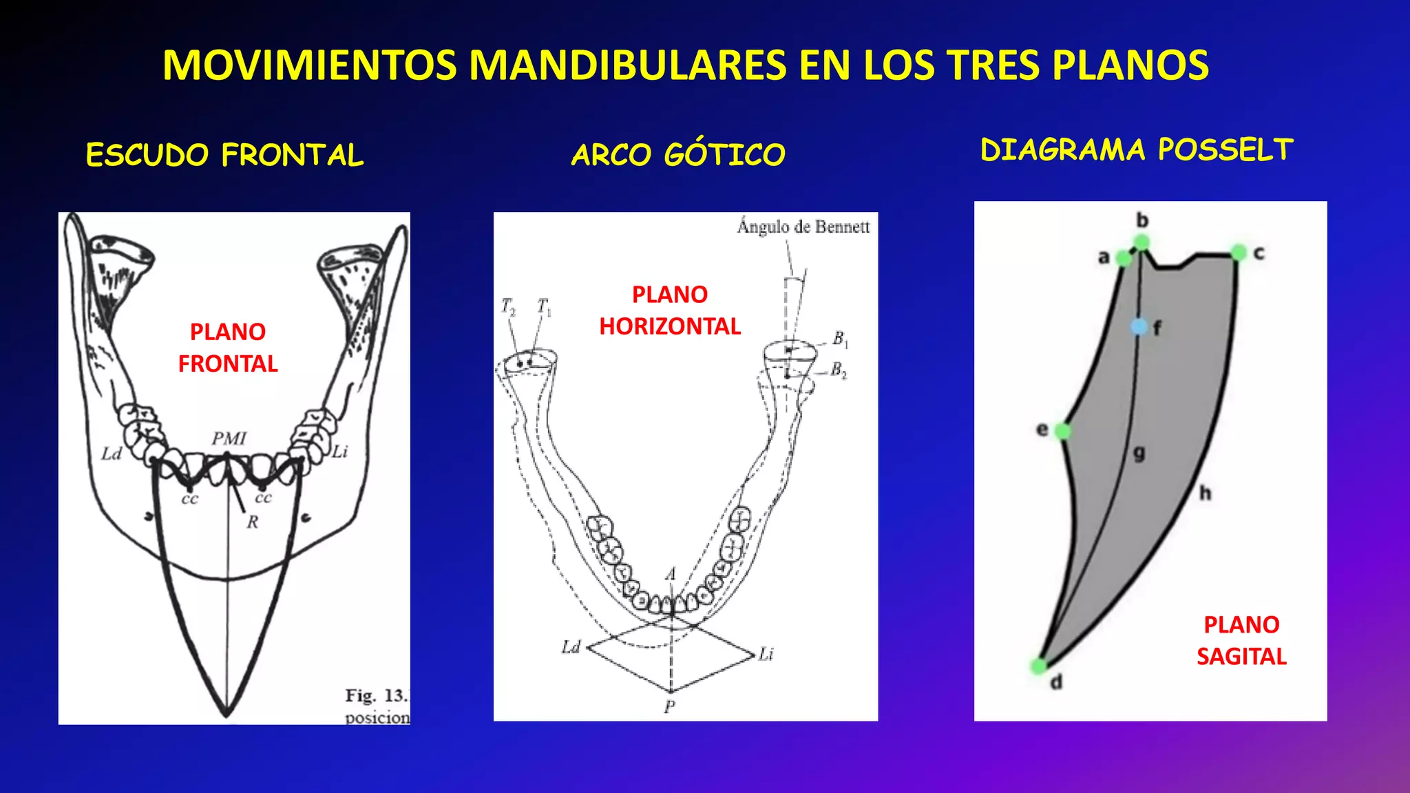 2 INTERSEDES - ATM, MUSCULOS Y DINÁMICA MANDIBULAR - 22122022.pdf