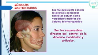 2 INTERSEDES - ATM, MUSCULOS Y DINÁMICA MANDIBULAR - 22122022.pdf