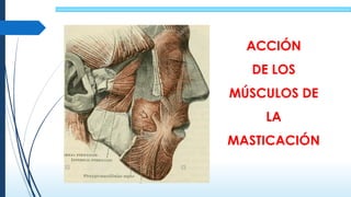 2 INTERSEDES - ATM, MUSCULOS Y DINÁMICA MANDIBULAR - 22122022.pdf