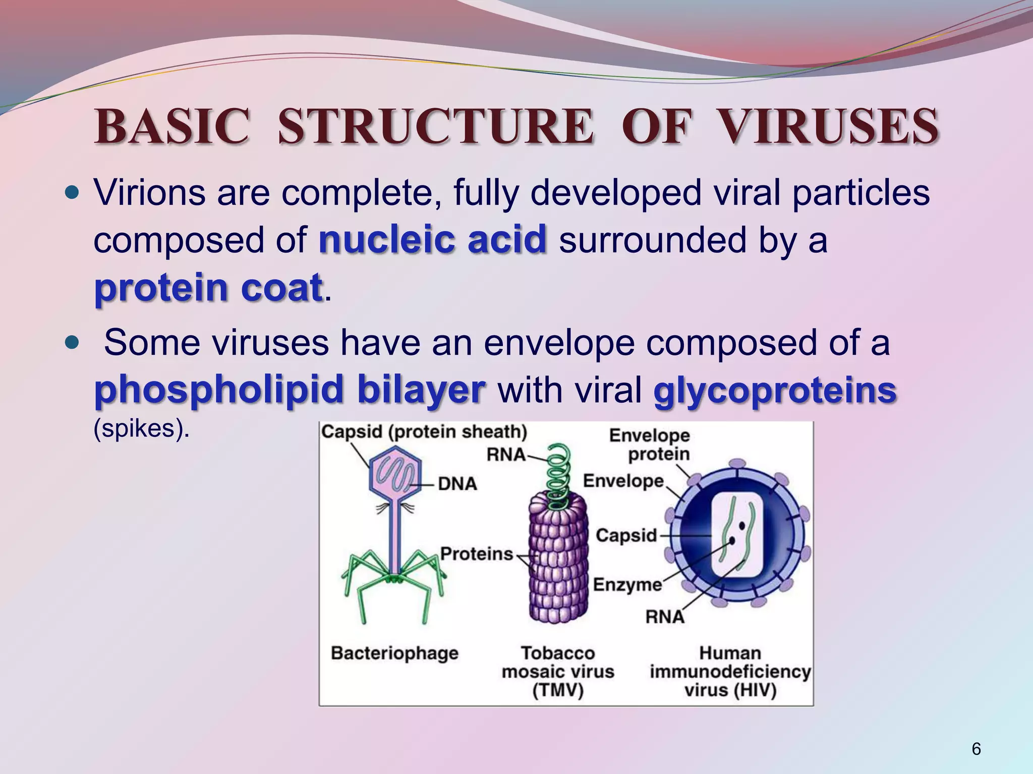 structure morphology_of_viruses | PPTX