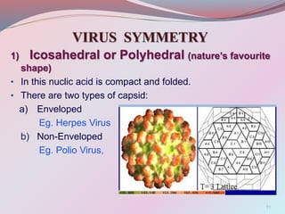 structure morphology_of_viruses | PPTX