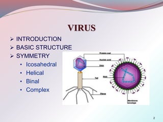 structure morphology_of_viruses | PPT | Free Download
