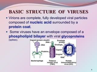 structure morphology_of_viruses | PPTX