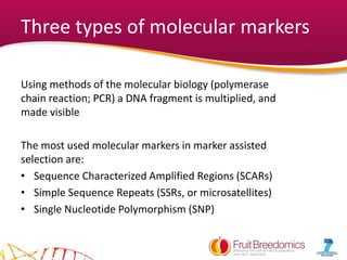 2 introduction molecular markers patocchi andrea | PPTX