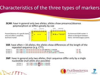 2 introduction molecular markers patocchi andrea | PPTX