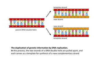 2 introduction to cell biology | PPTX