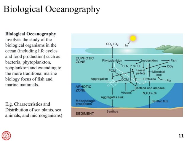 2_Intro_Oceanography.pptx