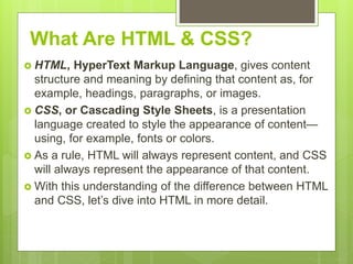 2 INTRO TO HTML.pptx