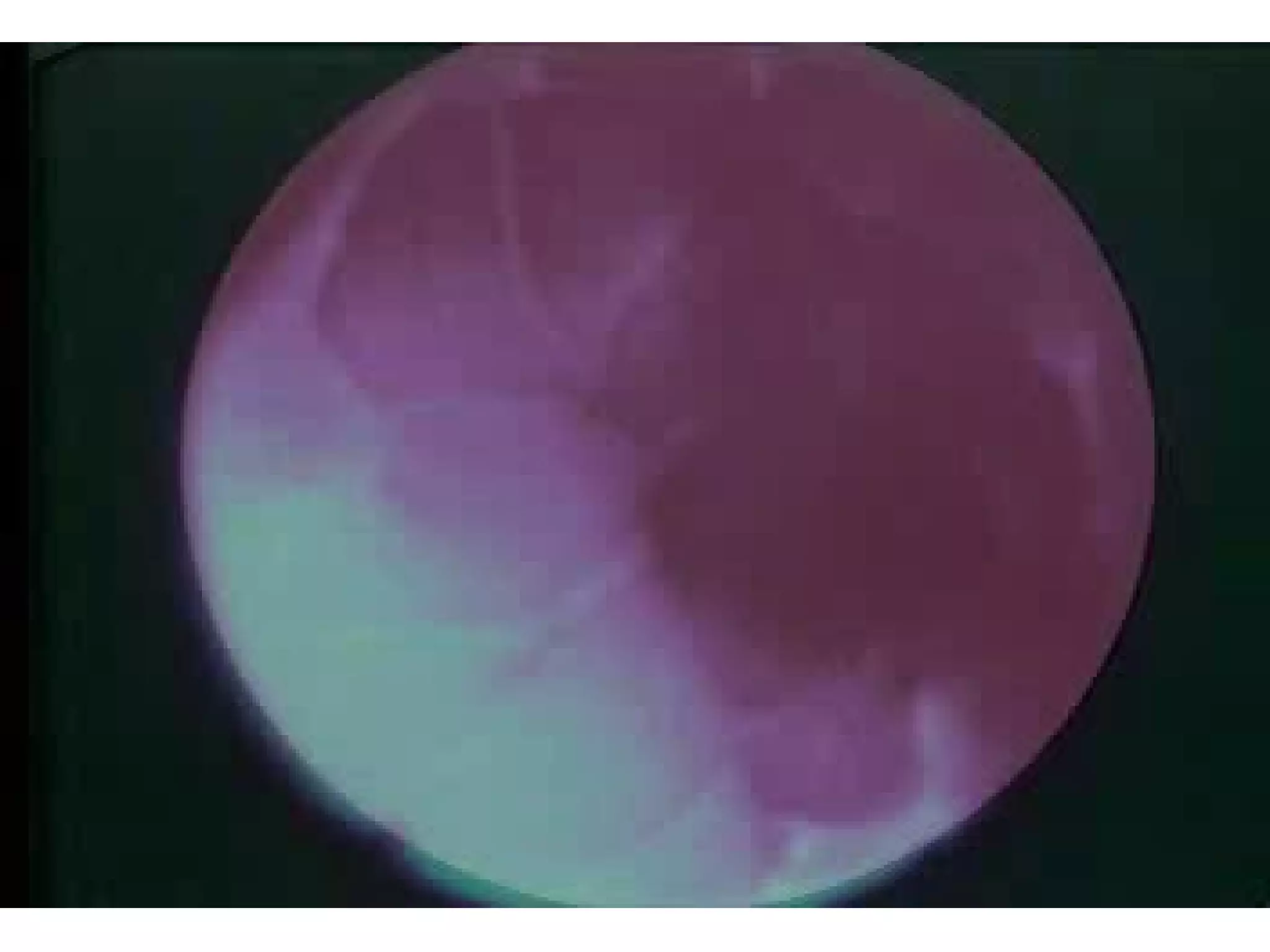 Chapter 18 Cell Division Lesson 2 - Introduction to the Cell Cycle and ...