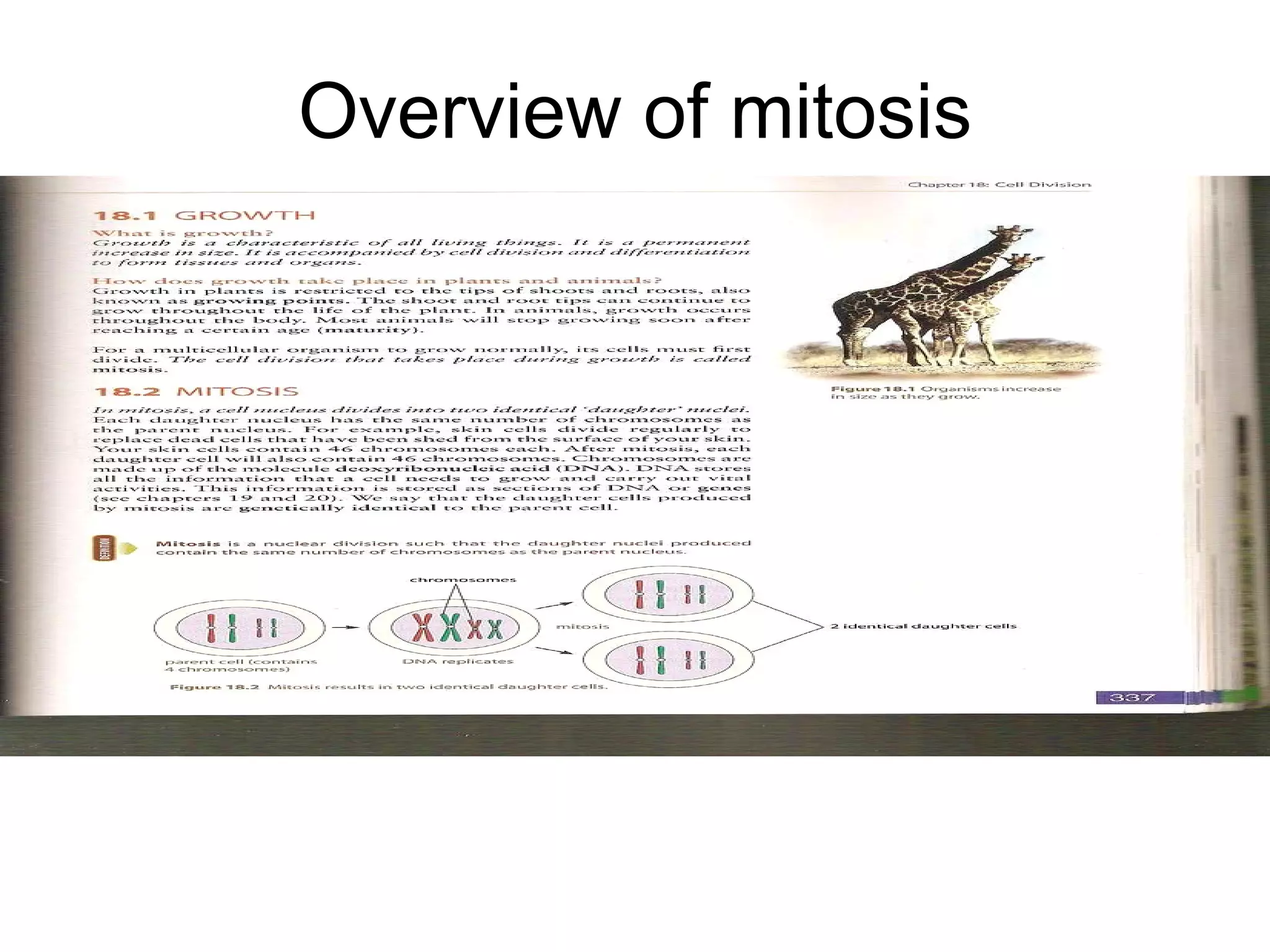 Chapter 18 Cell Division Lesson 2 - Introduction to the Cell Cycle and ...