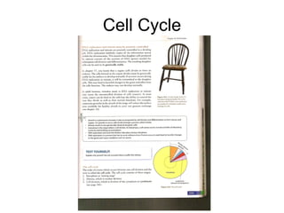 Chapter 18 Cell Division Lesson 2 - Introduction to the Cell Cycle and ...