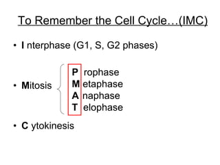 Chapter 18 Cell Division Lesson 2 - Introduction to the Cell Cycle and ...