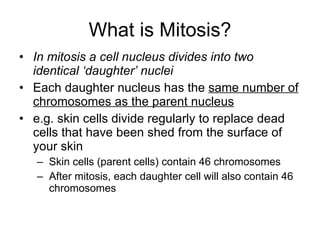 Chapter 18 Cell Division Lesson 2 - Introduction to the Cell Cycle and ...