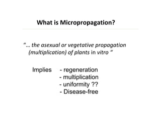 B4FA 2012 Nigeria: Sugarcane Micropropagation in Nigeria - Inuwa Usman | PDF | Agriculture ...