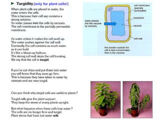 Chapter 3 Movement of Substances Lesson 2 - Effects of isotonic, hypotonic & hypertonic ...