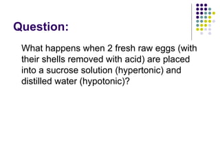 Chapter 3 Movement of Substances Lesson 2 - Effects of isotonic ...