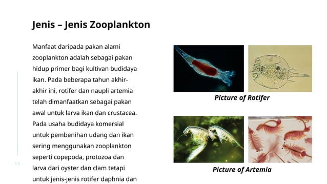 2_Jenis jenis Pakan Alami_Budidaya Perikanan.pptx