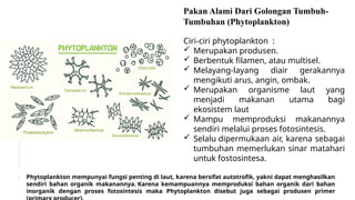 2_Jenis jenis Pakan Alami_Budidaya Perikanan.pptx