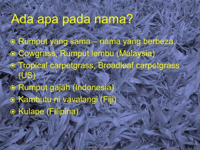 Jenis rumput | PPTX