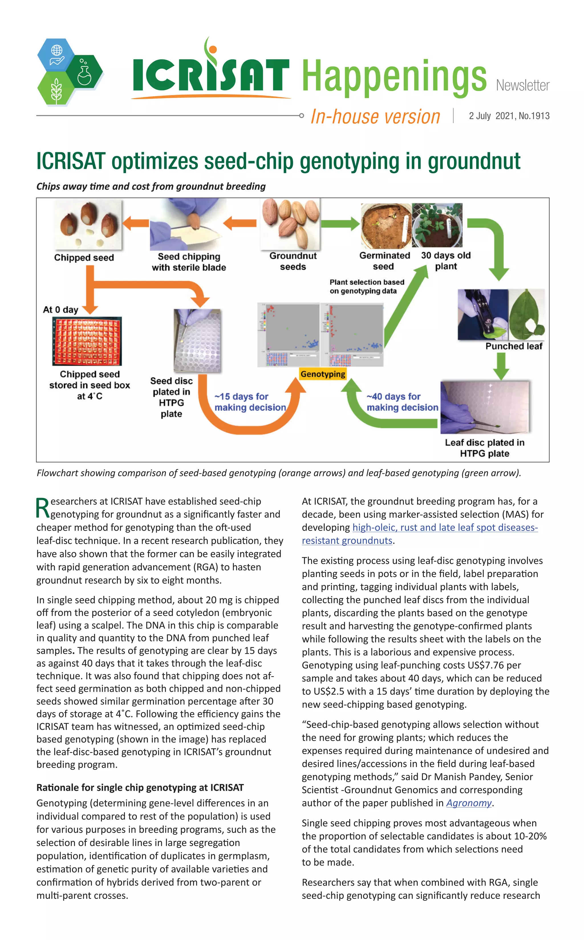 ICRISAT optimizes seed-chip genotyping in groundnut | PDF