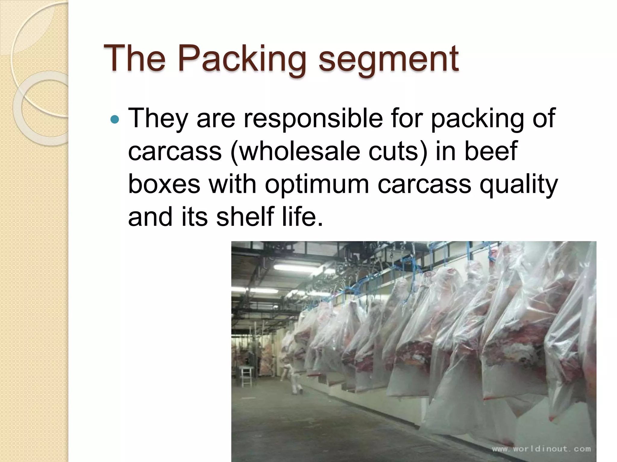 Basic Segments Of Beef Cattle Industry | PPTX