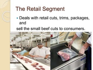 Basic Segments Of Beef Cattle Industry | PPTX
