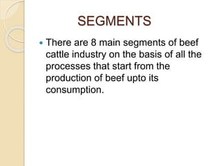 Basic Segments Of Beef Cattle Industry | PPTX