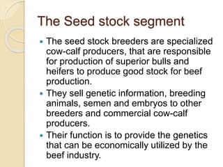 Basic Segments Of Beef Cattle Industry | PPTX