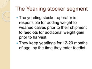 Basic Segments Of Beef Cattle Industry | PPTX