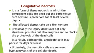 Necrosis and it's types | PPTX