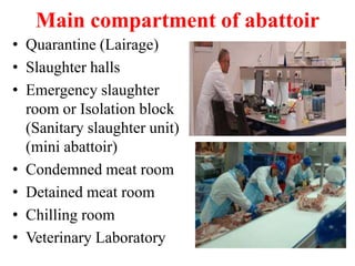 Atta Soomro.pptx | Food & Drink