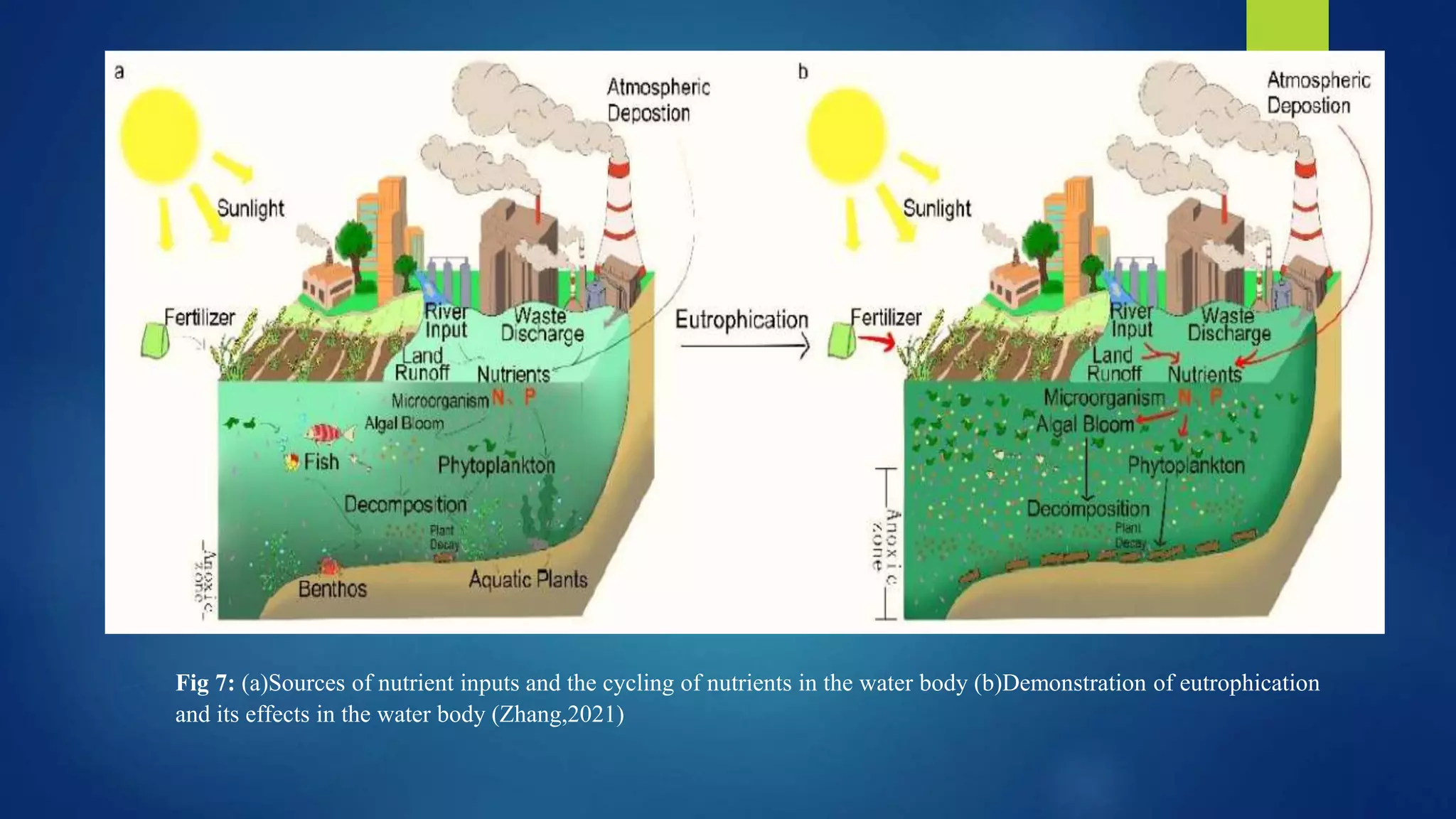 2k21ene10 Eutrophication.pptx