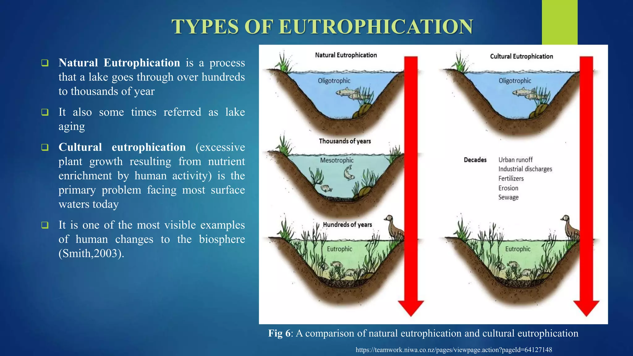 2k21ene10 Eutrophication.pptx