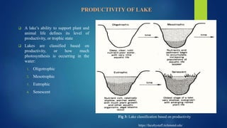 2k21ene10 Eutrophication.pptx