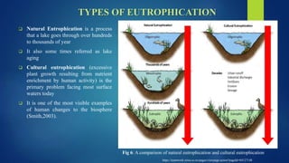 2k21ene10 Eutrophication.pptx