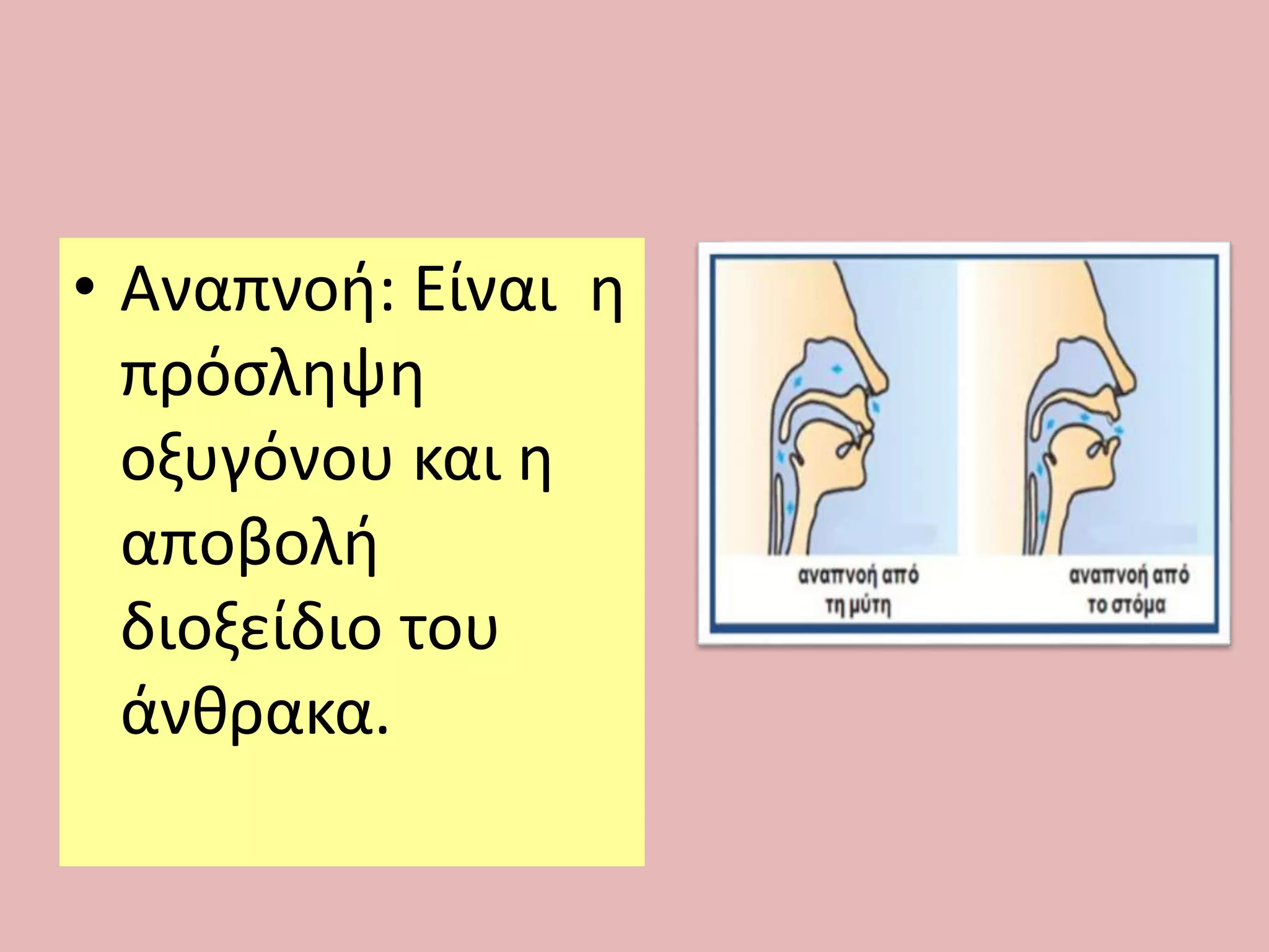 2 kapnisma kai pnevmones | PPTX