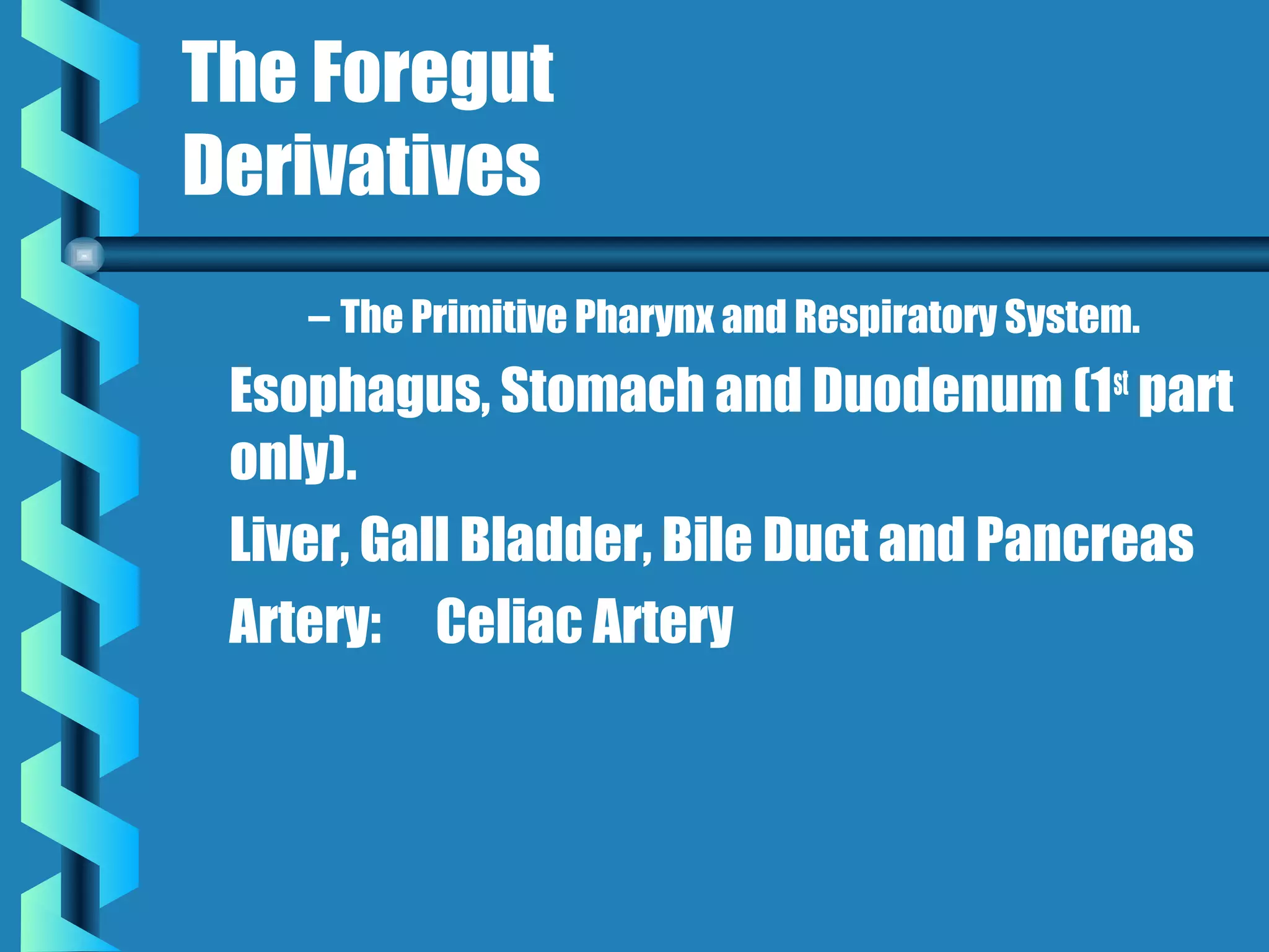 Embryology of Digestive system | PPT