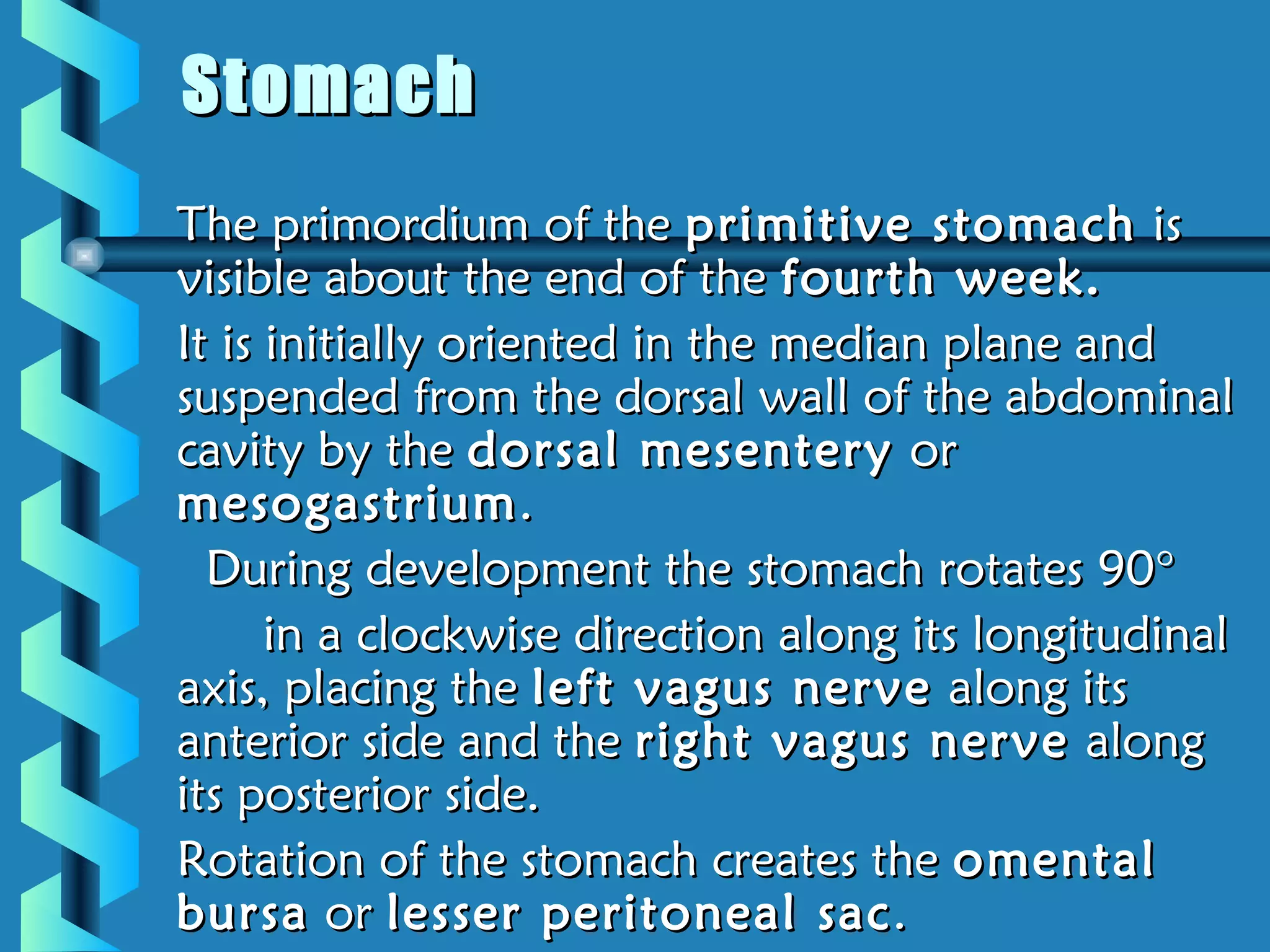 Embryology of Digestive system | PPT