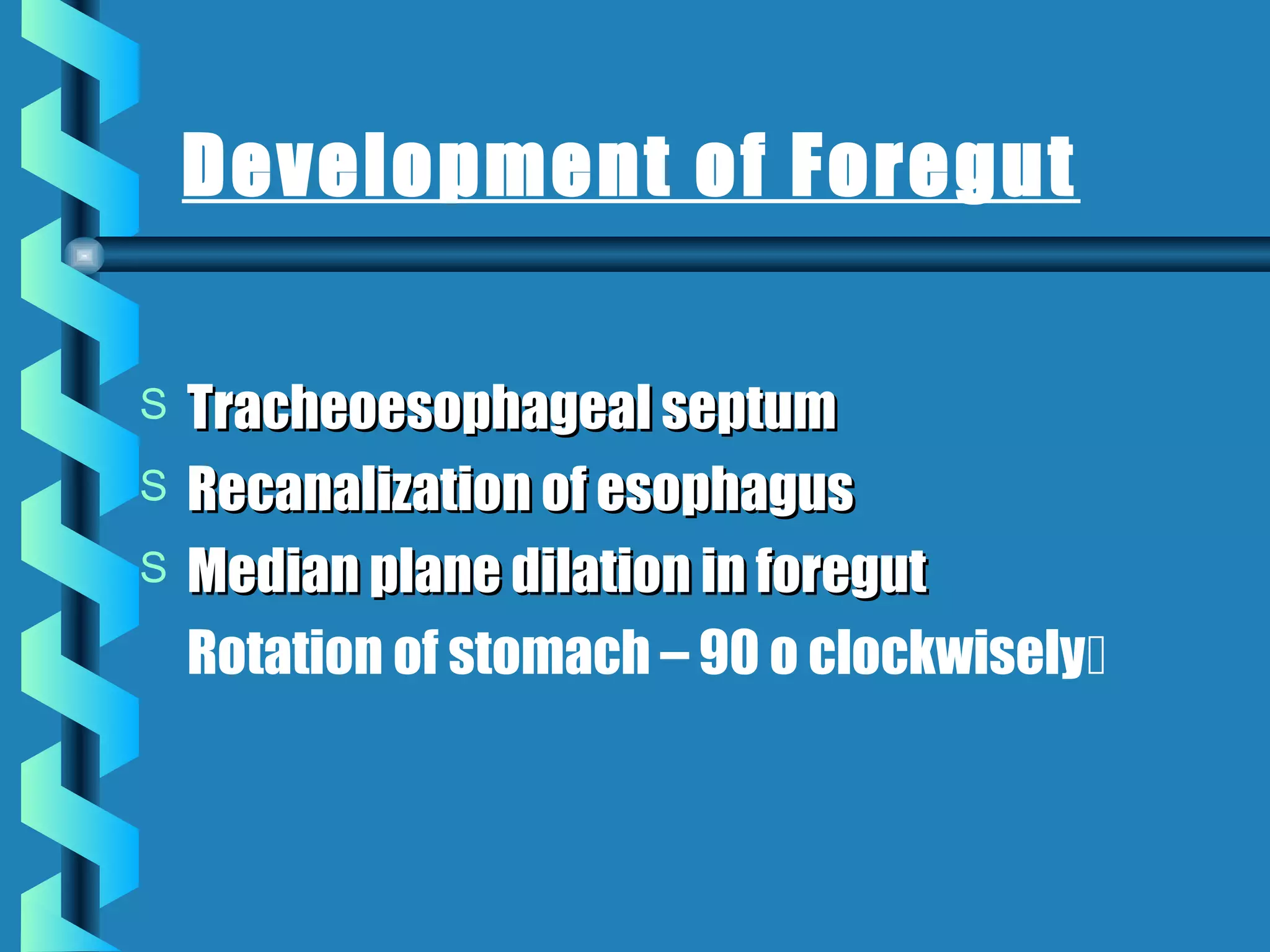 Embryology of Digestive system | PPT