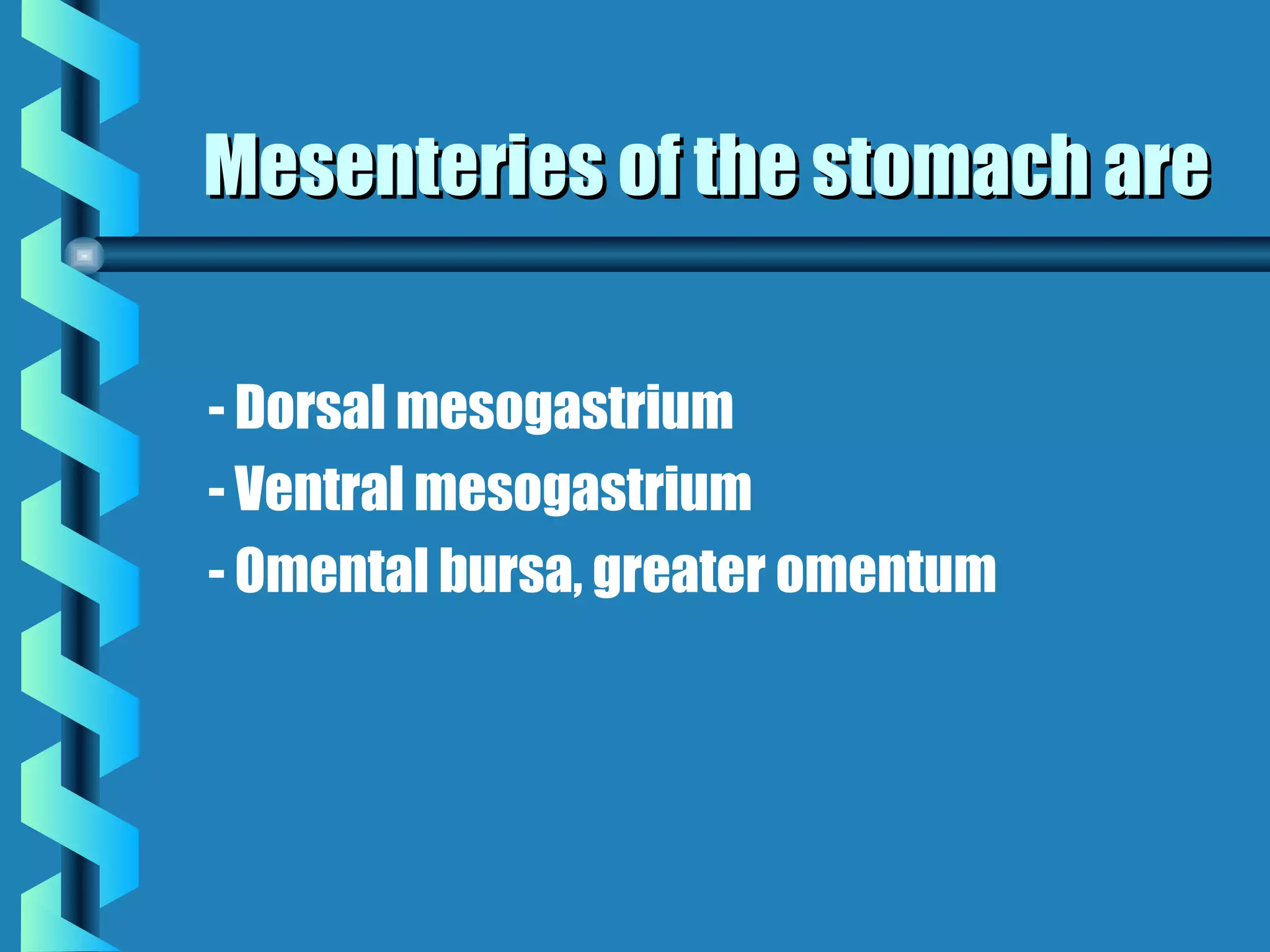 Embryology of Digestive system | PPT