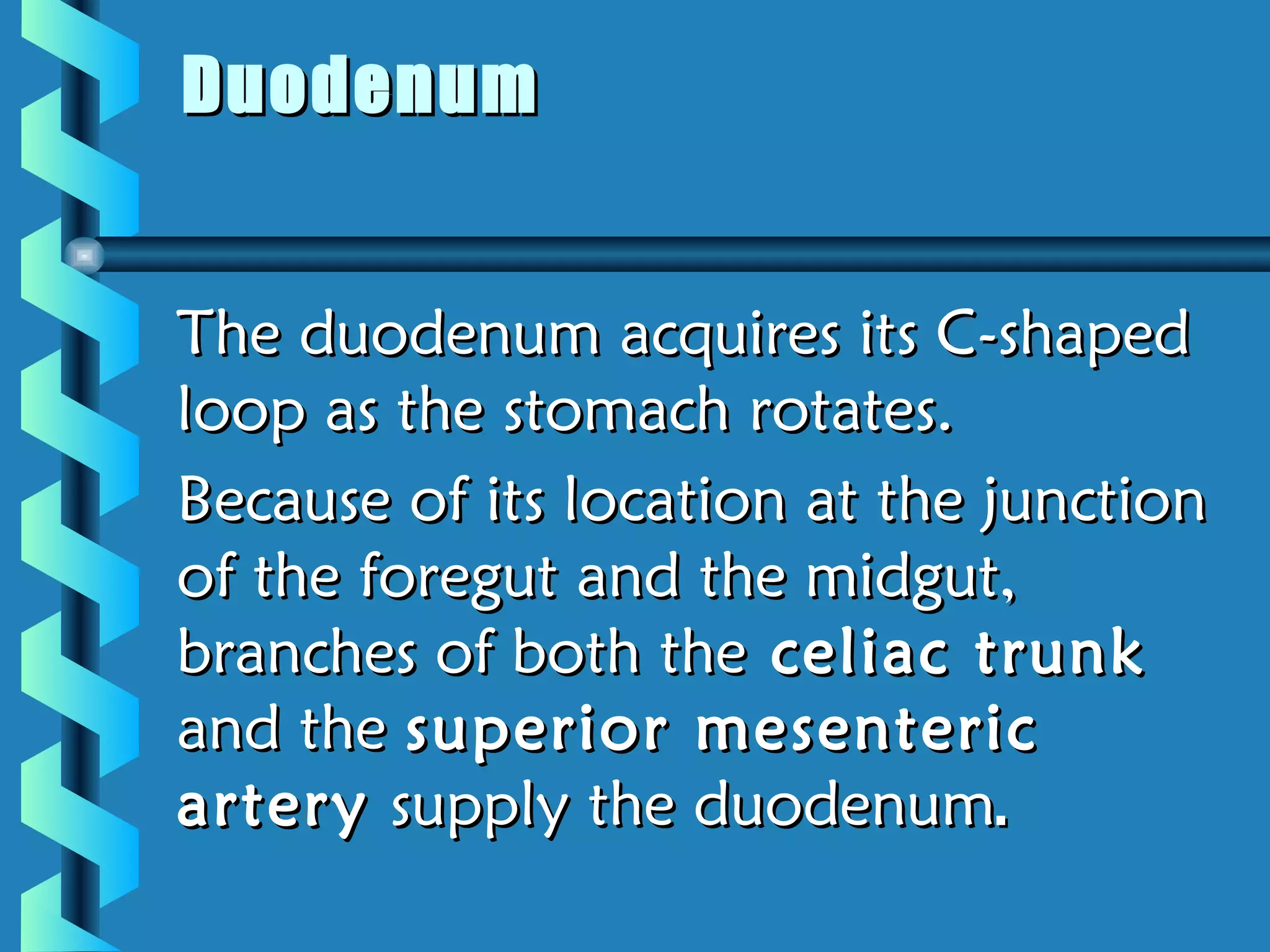 Embryology of Digestive system | PPT