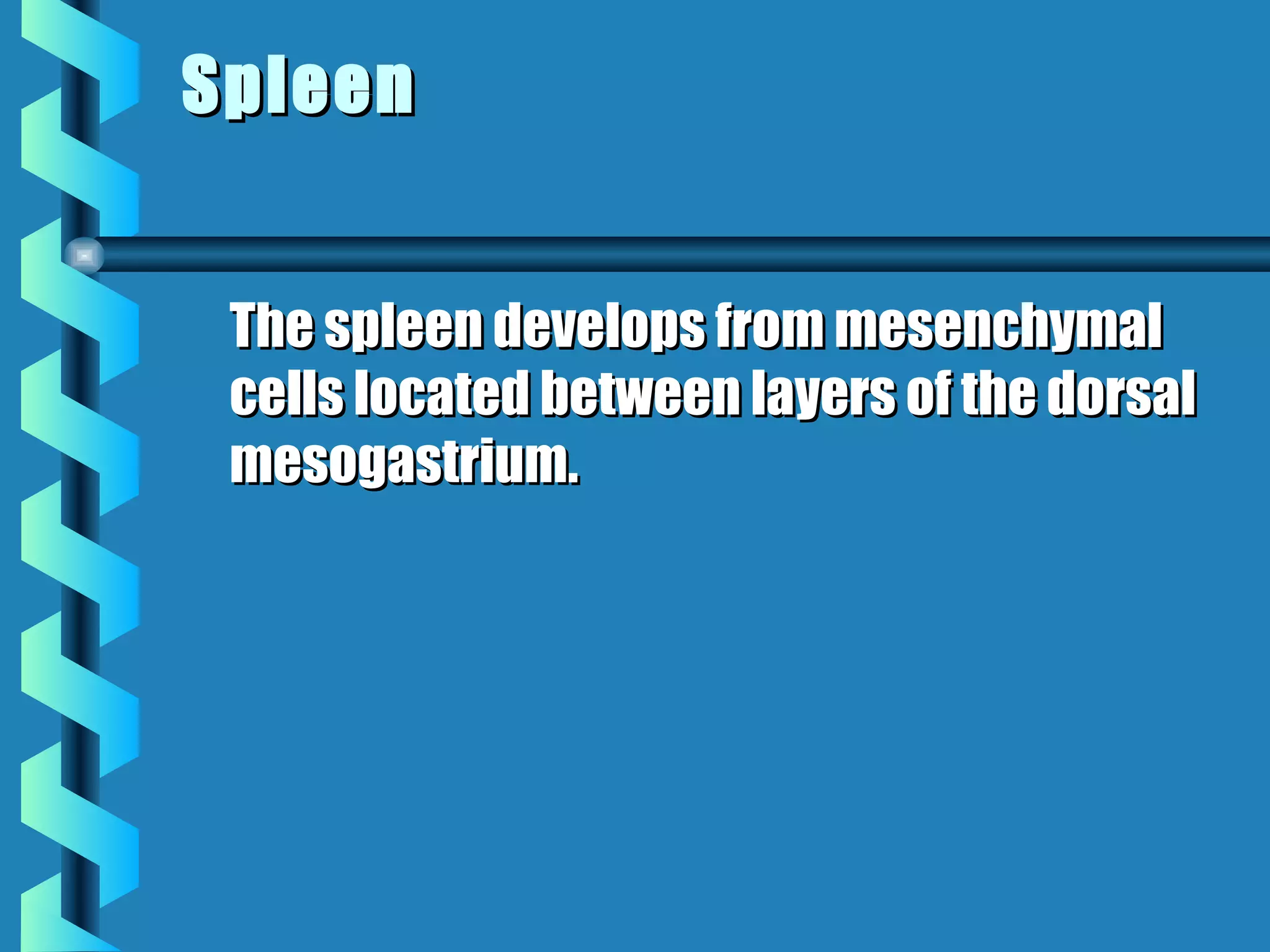 Embryology of Digestive system | PPT