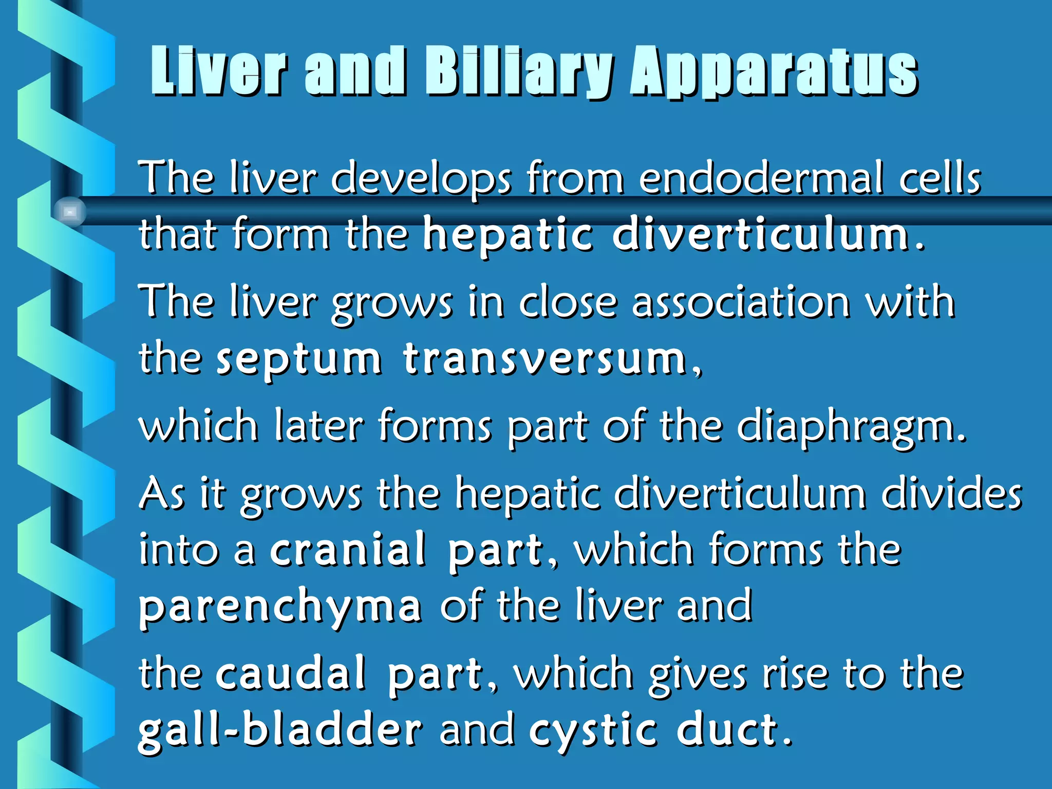 Embryology of Digestive system | PPT